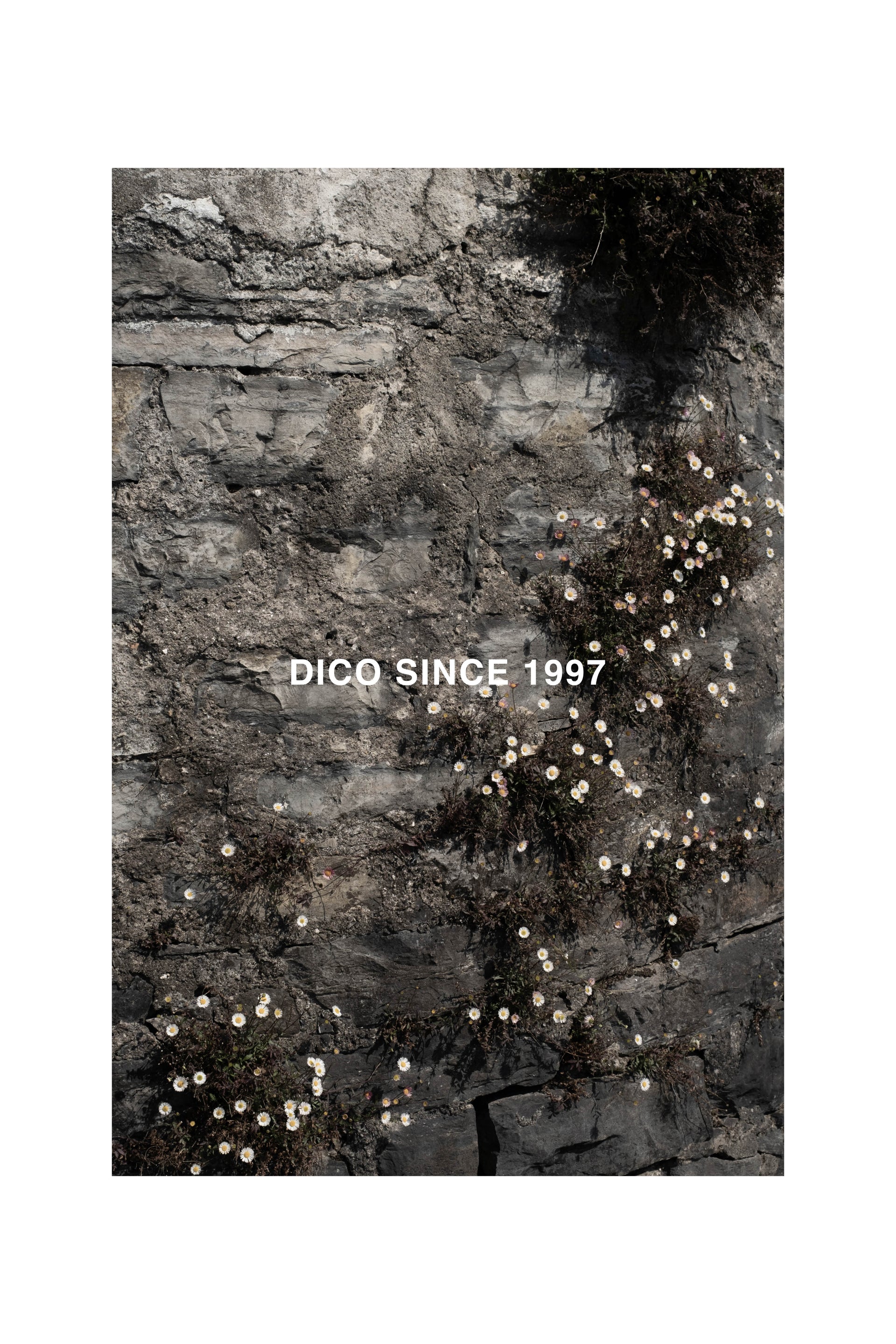 Dico Copenhagen Official Online Shop